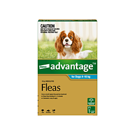 Buy Advantage Dog Medium 4-10kg Aqua