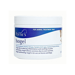 Isogel 250Gm (Potties)