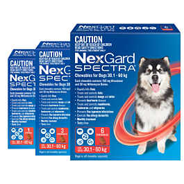 NexGard Spectra Dog Extra Large 30.1-60kg Red VetShopAustralia
