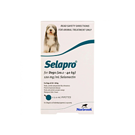 Selapro Dog Large 20-40kg Teal VetShopAustralia