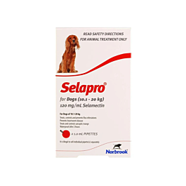 Selapro Dog Medium 10-20kg Red VetShopAustralia