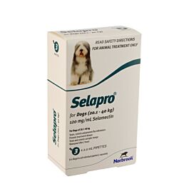 Selapro Dog Large 20-40kg Teal VetShopAustralia