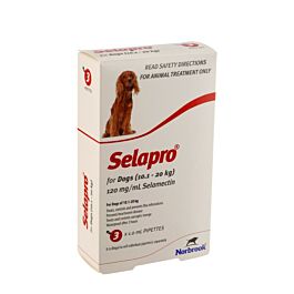 Selapro Dog Medium 10-20kg Red VetShopAustralia