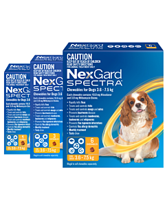 Nexgard Spectra For Dogs | Buy Online | VetShopAustralia