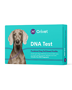 Dog DNA Test Australia | DNA Test Kits | VetShopAustralia