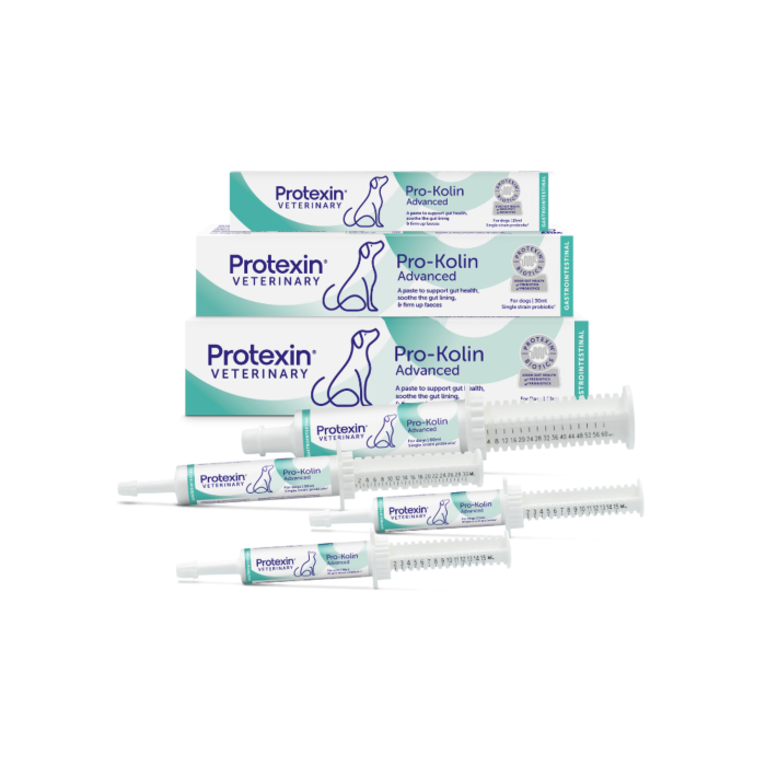 Protexin Pro-Kolin Advanced Probiotic Paste for Canine Digestive Health ...