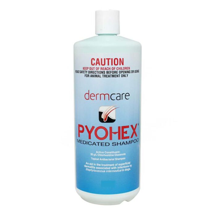 Dermcare Pyohex Medicated Shampoo VetShopAustralia