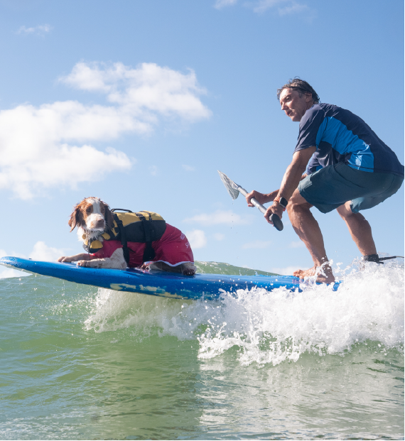 2025 Surfing Dog Championships: Waves, Wipeouts & Winners!