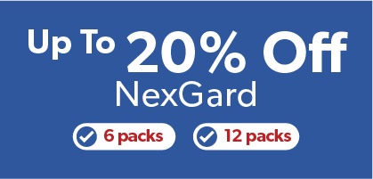 Nexgard Chewables | Nexgard For Dogs - Flea & Tick | VetShopAustralia