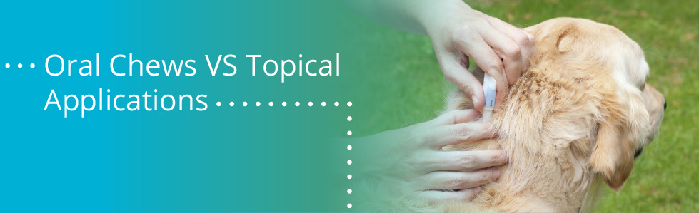 Oral Chews Vs Topical Applications - Video