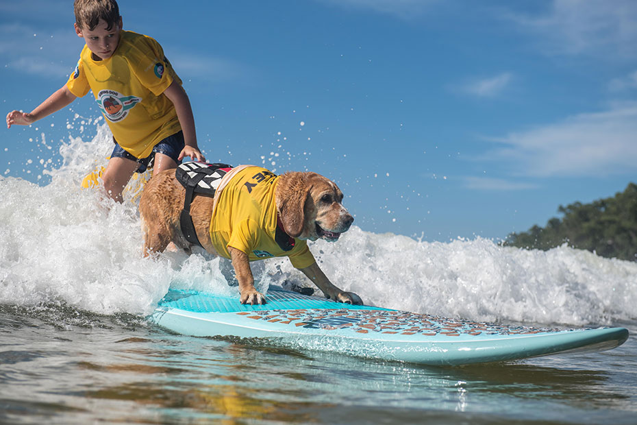 2022 Event Highlights