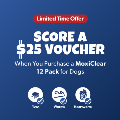 Moxiclear For Dogs - Flea and Tick Treatment | VetShopAustralia