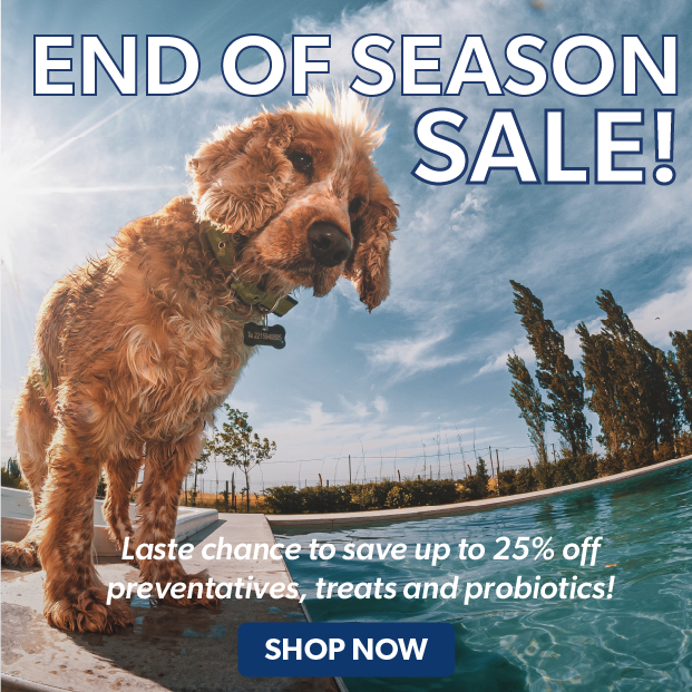 Discount Pet Supplies & Pet Health Specialists | VetShopAustralia